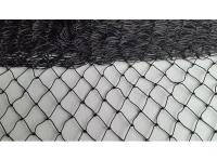 China Bird Netting - Fruit Tree and Garden Netting against Bird for sale