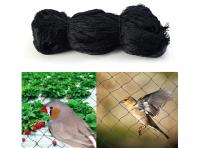 China Black Anti-bird Net for Plants for sale