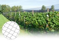 China Black Anti-bird Net for Plants for sale