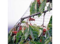 China HDPE Anti Bird Netting for Fruit Trees 15mm Mesh Size UV Protected 50m Roll for sale