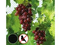 China Vineyard Bird Netting, Bird Netting to Protect Grapes for sale