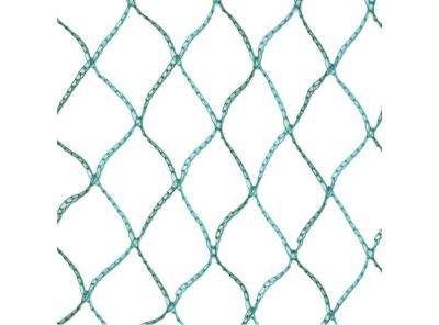 China HDPE Anti Bird Netting 20g/m2 15mm Mesh for Fruit Tree Vineyard Crop Protection for sale