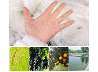 China HDPE Anti Bird Netting 20g/m2 15mm Mesh for Fruit Tree Vineyard Crop Protection for sale