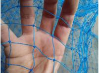 China Durable Agricultural Anti-bird Net - Blue for sale