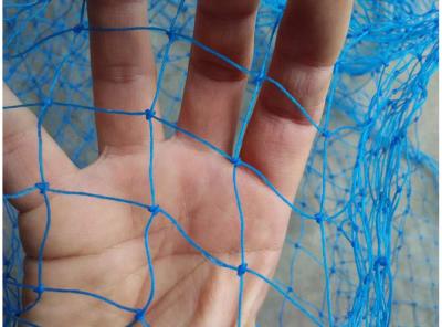 China Durable Agricultural Anti-bird Net - Blue for sale