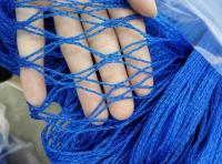 China Durable Agricultural Anti-bird Net - Blue for sale