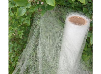 China Bird Block Mesh Netting, Plastic Bird Netting for sale