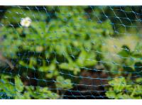 China Bird Block Mesh Netting, Plastic Bird Netting for sale