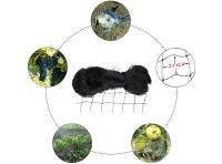 China Bird & Aviary Netting for Plants & Gardens for sale