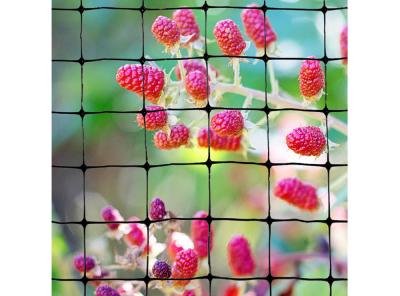 China Bird & Aviary Netting for Plants & Gardens for sale