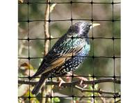 China Bird & Aviary Netting for Plants & Gardens for sale