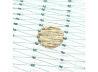 China Anti-bird Netting for Fruit & Vegetable Protection for sale