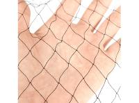 China HDPE Anti Bird Netting UV Stabilized 20g-150g 1m-16m Width for Fruit Tree Vineyard Protection for sale
