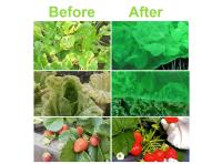China HDPE Anti Insect Netting 40g-150g UV Protected Garden Bug Net for Vegetables for sale
