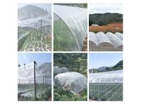China HDPE Anti Insect Netting for Vegetable Gardens 1m-5m Width 40-150gsm UV Protected for sale
