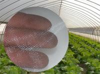 China HDPE Anti Insect Netting for Vegetable Gardens 1m-5m Width 40-150gsm UV Protected for sale