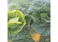 China HDPE Anti Insect Netting 50x25 Mesh UV Protected Pest Control Net for Greenhouse Agriculture for sale