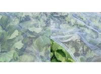 China Insect-Proof Net, Crops Protection Net Against Insects And Pests for sale