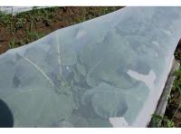 China HDPE Anti Insect Net for Vegetables 50g/m2 1.5m Width UV Protected for sale