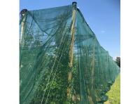 China Greenhouse Protection Nets & Insect Screens for sale