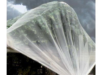 China HDPE Anti Hail Net 40-100gsm UV Stabilized for Fruit Crop Protection for sale