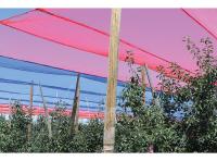 China Woven Anti-Hail Nets to Protect Plants for sale