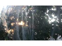 China Apple Orchard Anti-Hail Net,Woven Nets to Protect Plants for sale
