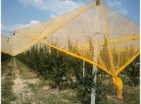 China Anti-Hail Net, Woven Nets to Protect Plants for sale