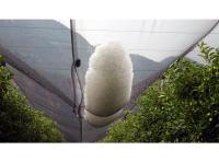 China Anti-Hail Net, Woven Nets to Protect Plants for sale