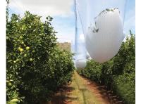 China Anti-Hail Net, Woven Nets to Protect Plants for sale