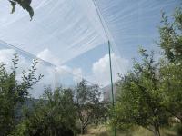 China Anti-Hail Net, Woven Nets to Protect Plants for sale