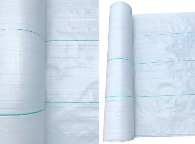 China PP Woven Weed Barrier Fabric 70-130g/m2 Width 0.5-5.25m UV Treated for sale