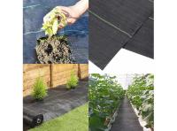 China Polypropylene Woven Plastic Ground Cover, PP Weed Control Mat Woven Fabric for sale