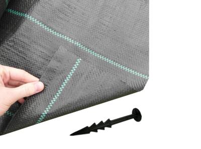 China Woven Ground Cover - Weed Barrier Fabric for sale
