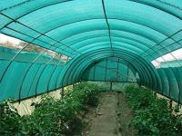China HDPE UV Treated Greenhouse Shade Net 2m 4m Width 50m 100m Roll for sale