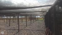 China HDPE UV Treated Greenhouse Shade Net 2m 4m Width 50m 100m Roll for sale