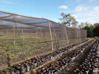 China HDPE UV Treated Greenhouse Shade Net 2m 4m Width 50m 100m Roll for sale