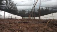 China HDPE UV Treated Greenhouse Shade Net 2m 4m Width 50m 100m Roll for sale