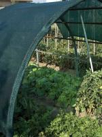 China Green HDPE Shade Net 75% UV Stabilized 3x50m 190gsm for Greenhouse Poultry for sale