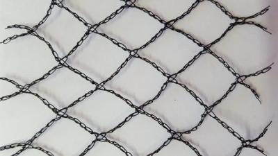China BIRD NET – BLACK DIAMOND 10MTR X 100MTR for sale