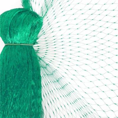 China HDPE Anti Bird Netting 20mm Mesh 50m Roll UV Stabilized for Fruit Tree Vineyard Protection for sale