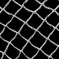China Bird Netting 5m x 10m Heavy Duty White for sale