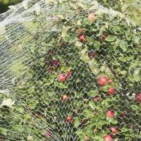China Knitted Anti Bird Netting HDPE 20-150gsm UV Stabilized 1-16m Width 50-100m Rolls for sale
