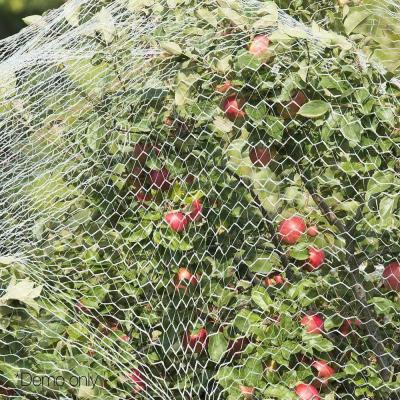 China Knitted Anti Bird Netting HDPE 20-150gsm UV Stabilized 1-16m Width 50-100m Rolls for sale