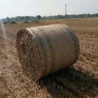 China Bale Net Wrap Bale Wrap Net Customized Agriculture Bale Net Wrap White Hdpe Raschel Knitted for sale