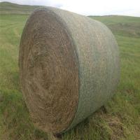 China Bale Wrap Net Bale Wrap Net Agricultural Bale Wrap Net for sale