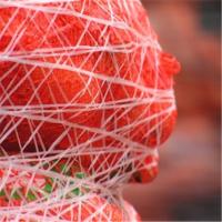 China HDPE Bale Net Wrap 1.23m x 3000m UV Stabilized for Hay and Straw for sale