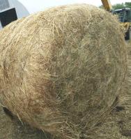 China HDPE Round Bale Net Wrap 1.23m x 3000m UV Stabilized Easy Removal for sale