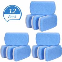 China Pet Hair Remover Pumice Stone 2 Pack 4 Inch for Car Furniture Natural Safe for sale