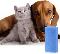 China Natural Pumice Stone Pet Hair Remover 2 Pack for Dog Cat Horse Hair on Furniture Carpet for sale